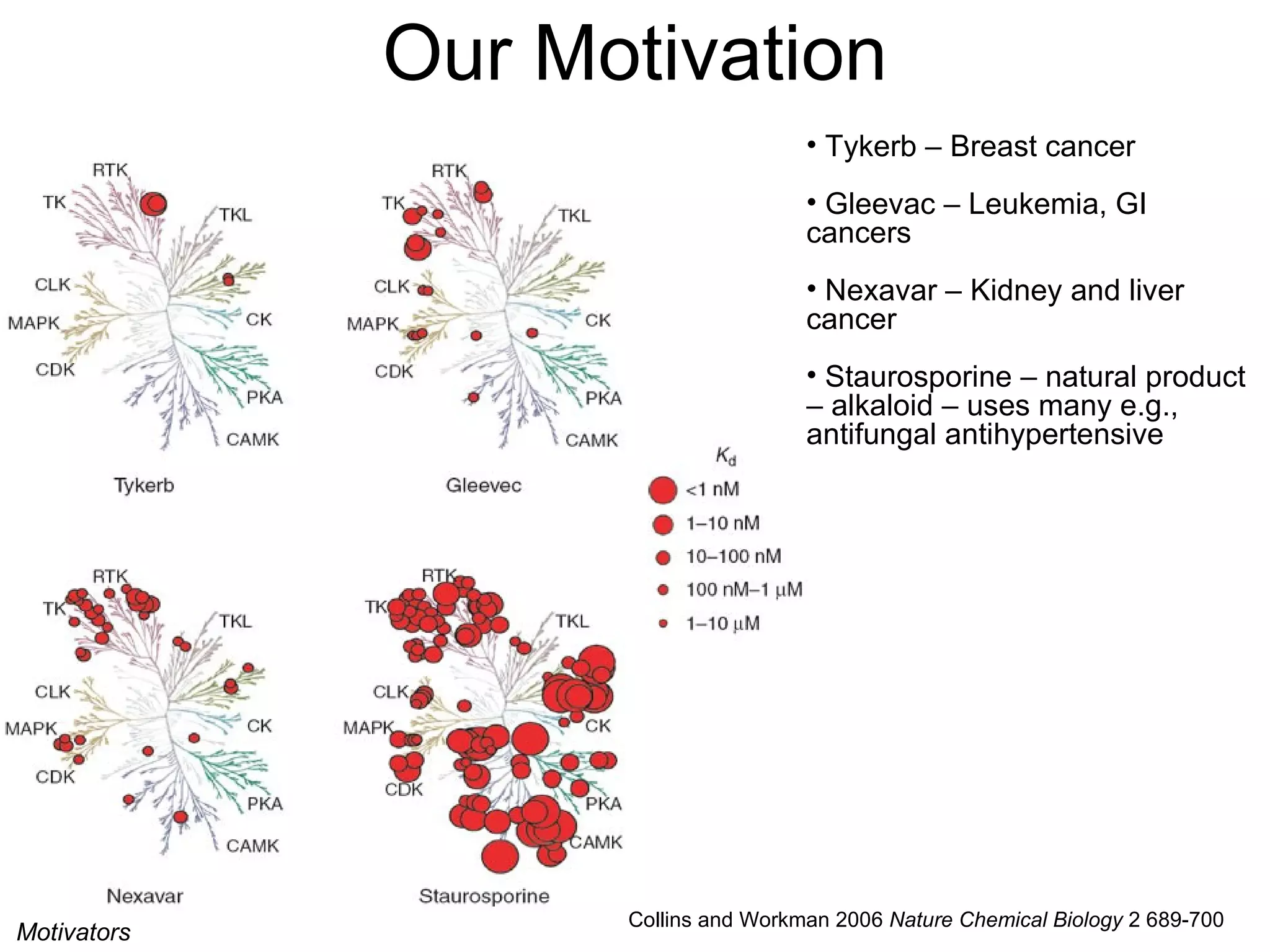 Network Pharmacology Tri-Con 022212 | PPT
