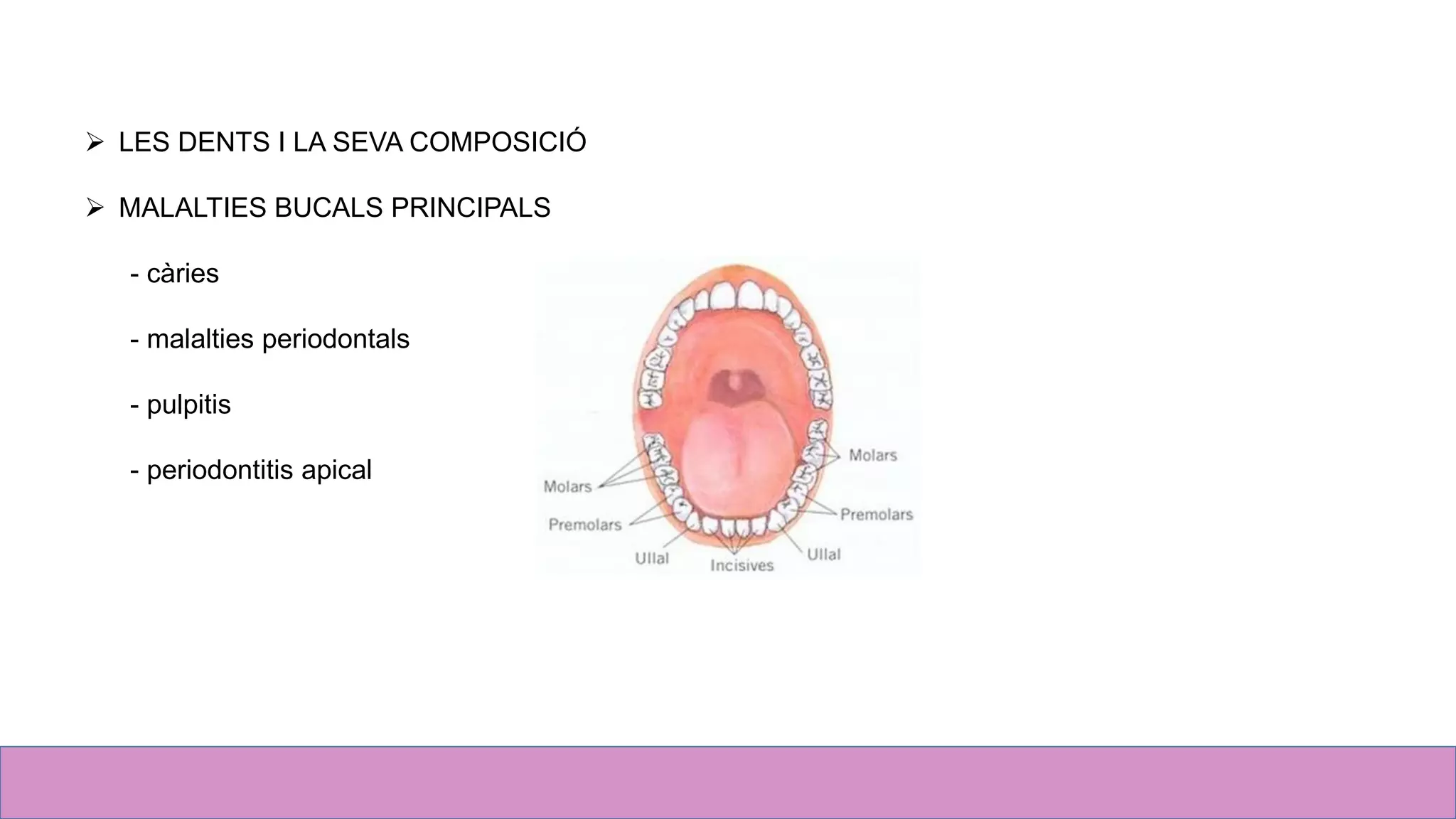 Hàbits d'higiene bucodental al Baix Camp. Impacte dels col·lutoris en ...