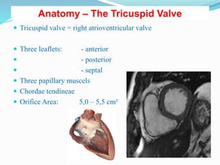 Tricuspid pulmonary valves | PPTX