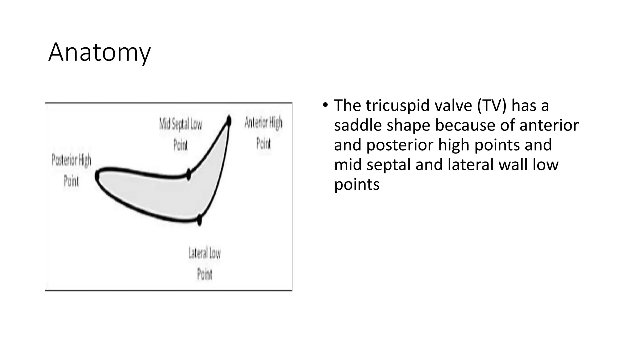 Tricuspid valve | PPTX