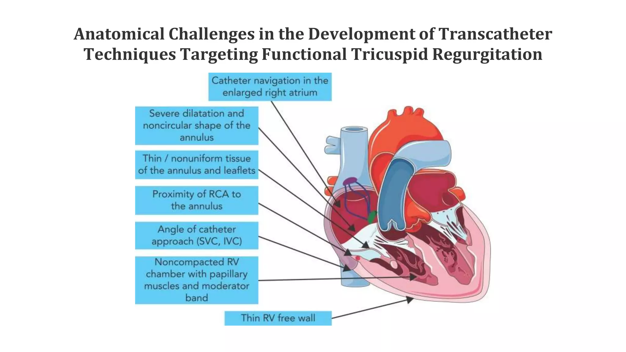 TRICUSPID VALVE ANATOMY PATHOPHYSIOLOGY INDICATIONS AND INTERVENTIONS.pptx