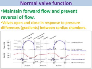 Tricuspid Valvular Heart Disease for post graduates | PPSX