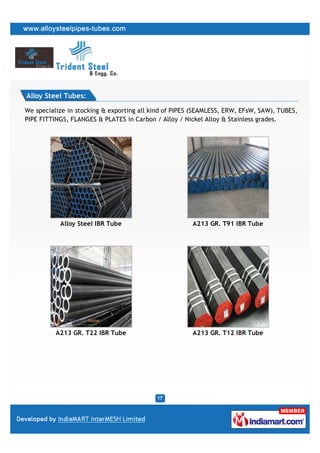 Trident Steel & Engineering Co., Mumbai, Sheets & Plates | PDF