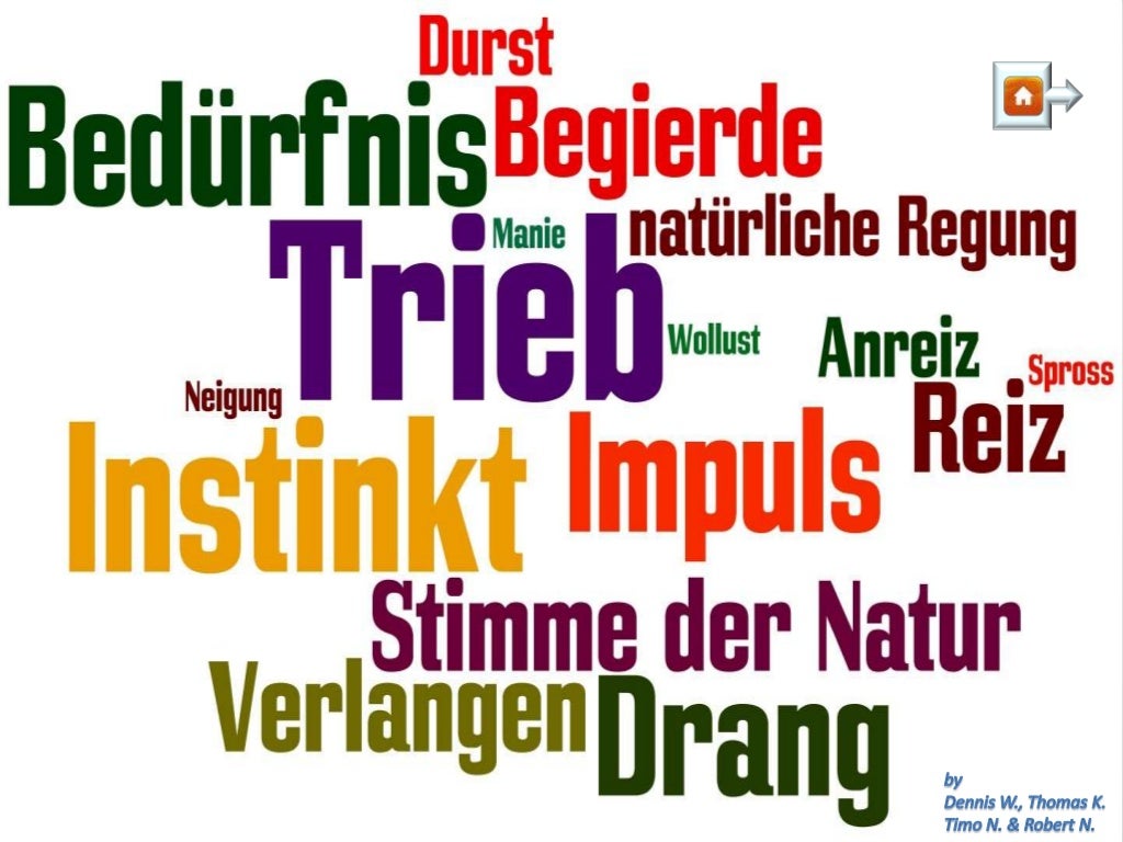 Das Wesen Mensch - Triebe
