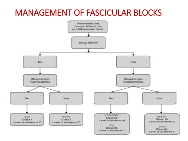 Trifascicular Block Ecg Presentation Pptx