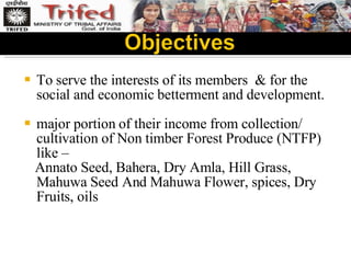 Trifed | PPT