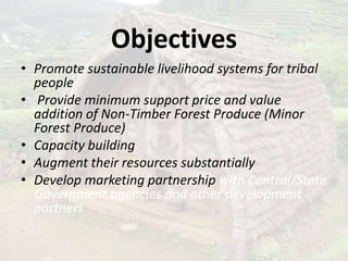 TRIFED and Its Institutional Capacities | PPSX