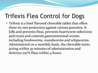 Trifexis chewable tablets for dogs | PPTX