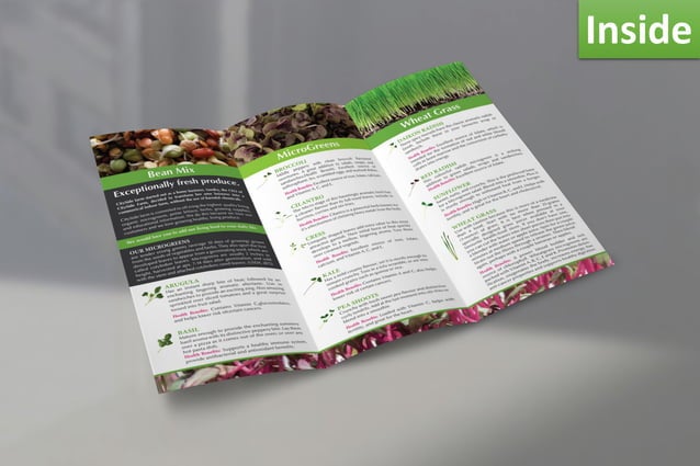 I Will Do An Awesome Trifold Brochure Design For You! Order Link: http ...