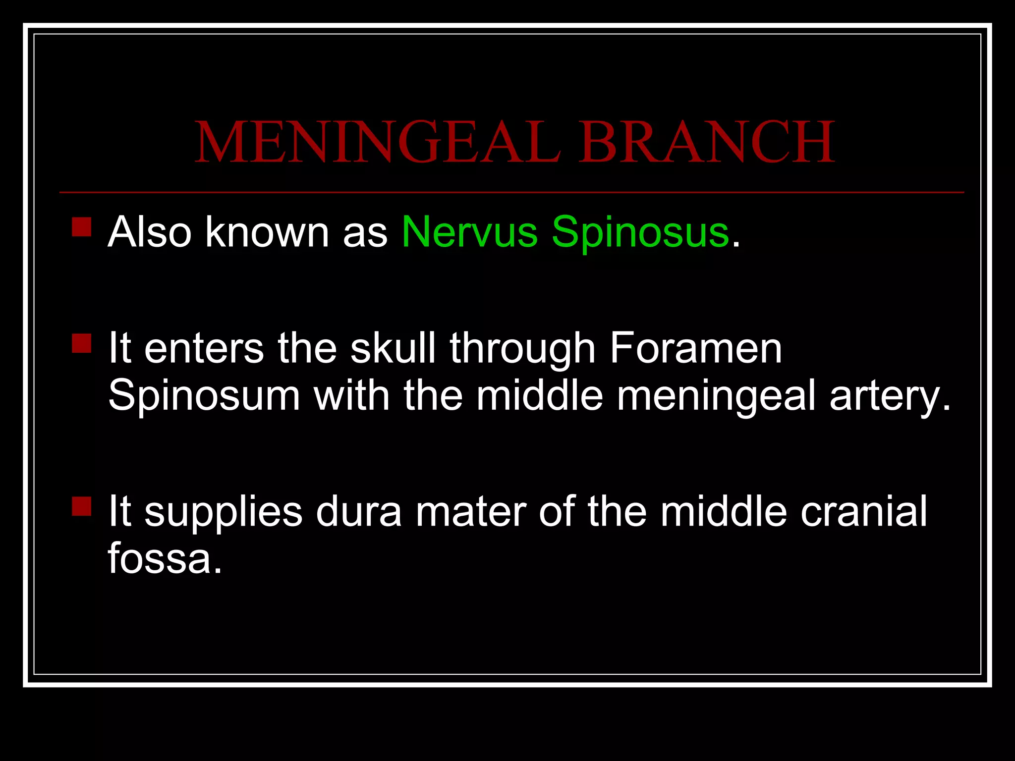 Trigeminal Nerve (Mandibular Division) Introduction | PPT