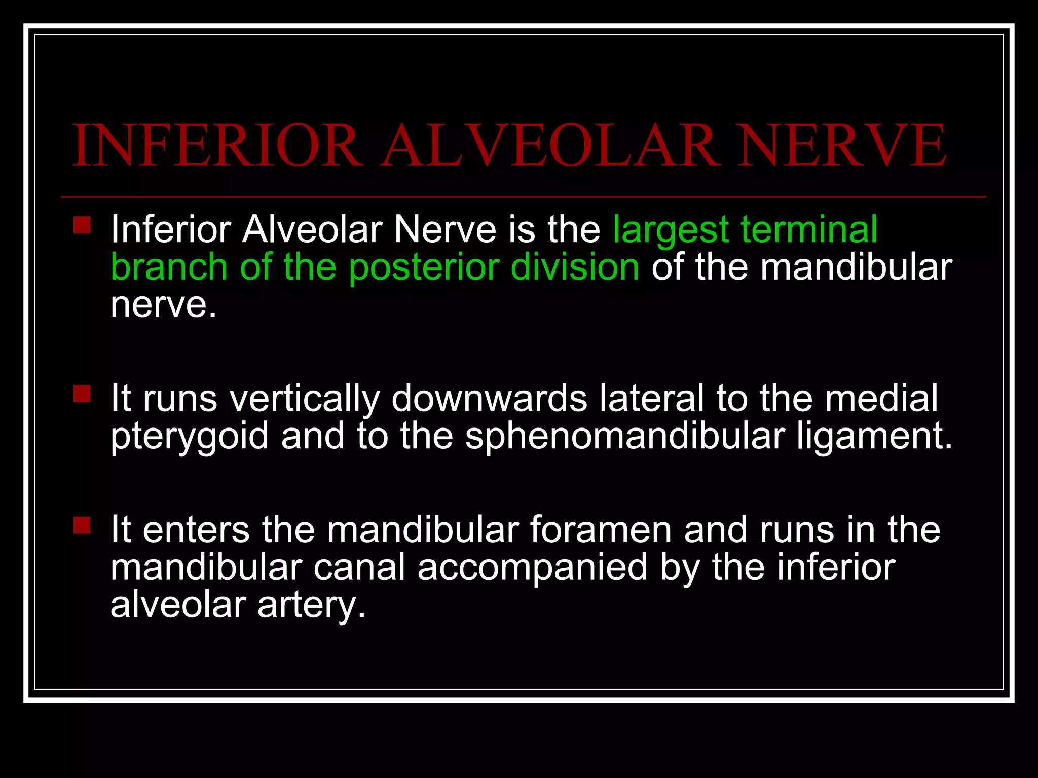 Trigeminal Nerve (Mandibular Division) Introduction | PPT