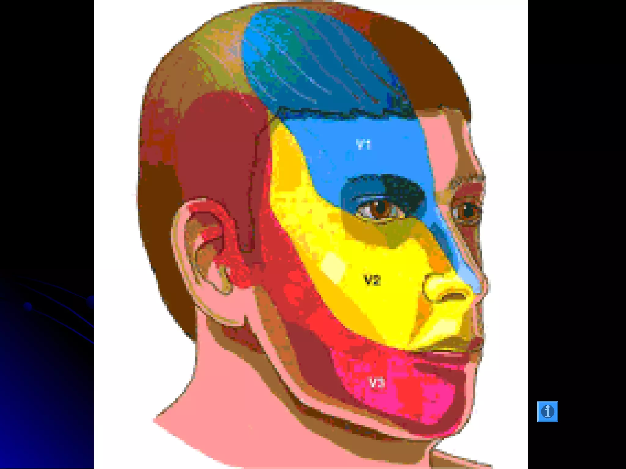 Trigeminal Nerve (Mandibular Division) Introduction | PPT