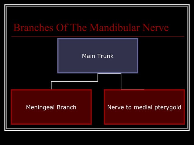 Trigeminal Nerve (Mandibular Division) Introduction | PPT | Death ...