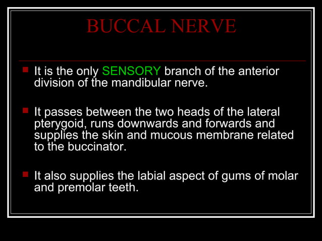 Trigeminal Nerve (Mandibular Division) Introduction | PPT | Death ...