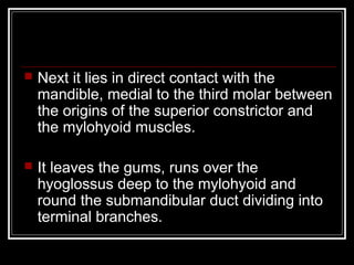 Trigeminal Nerve (Mandibular Division) Introduction | PPT