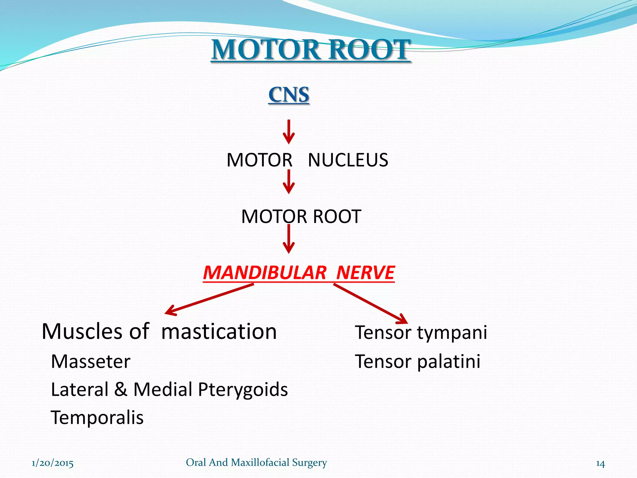 Trigeminal Nerve Anatomy | PPTX