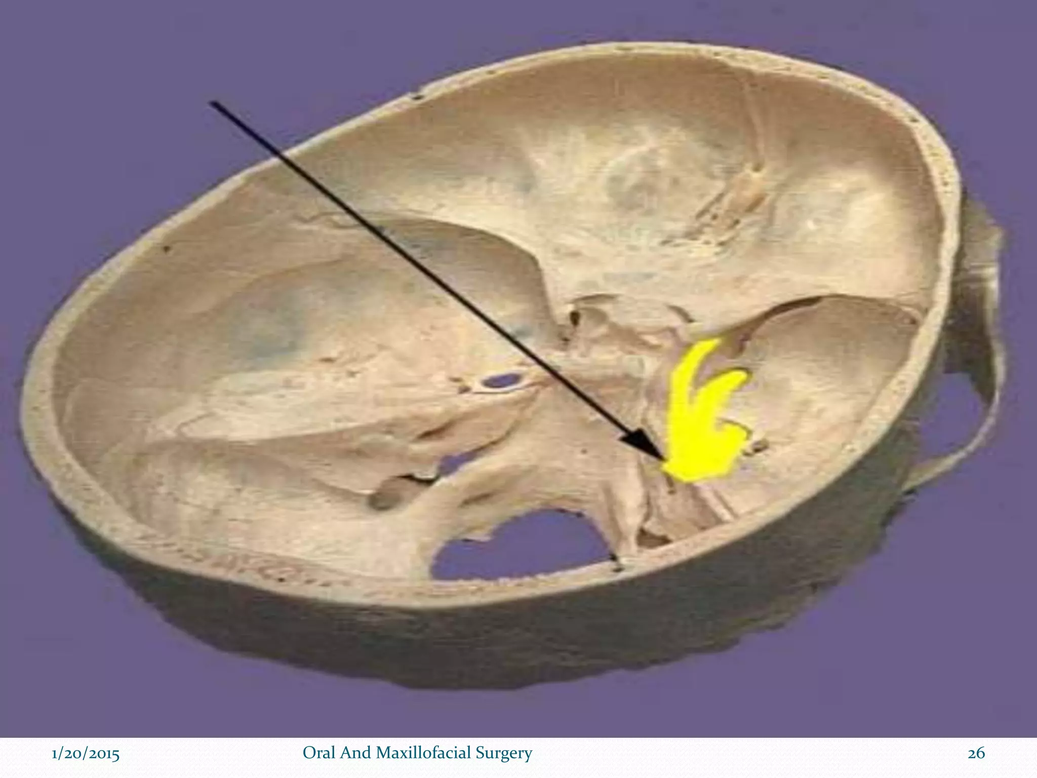 Trigeminal Nerve Anatomy | PPTX