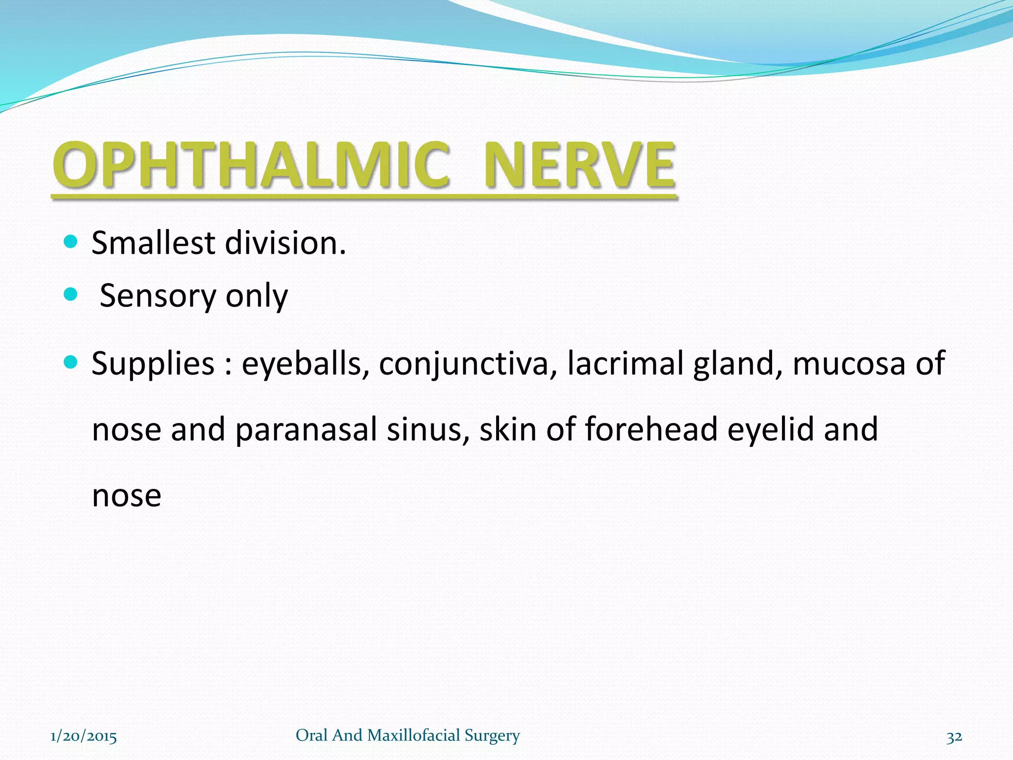 Trigeminal Nerve Anatomy | PPTX