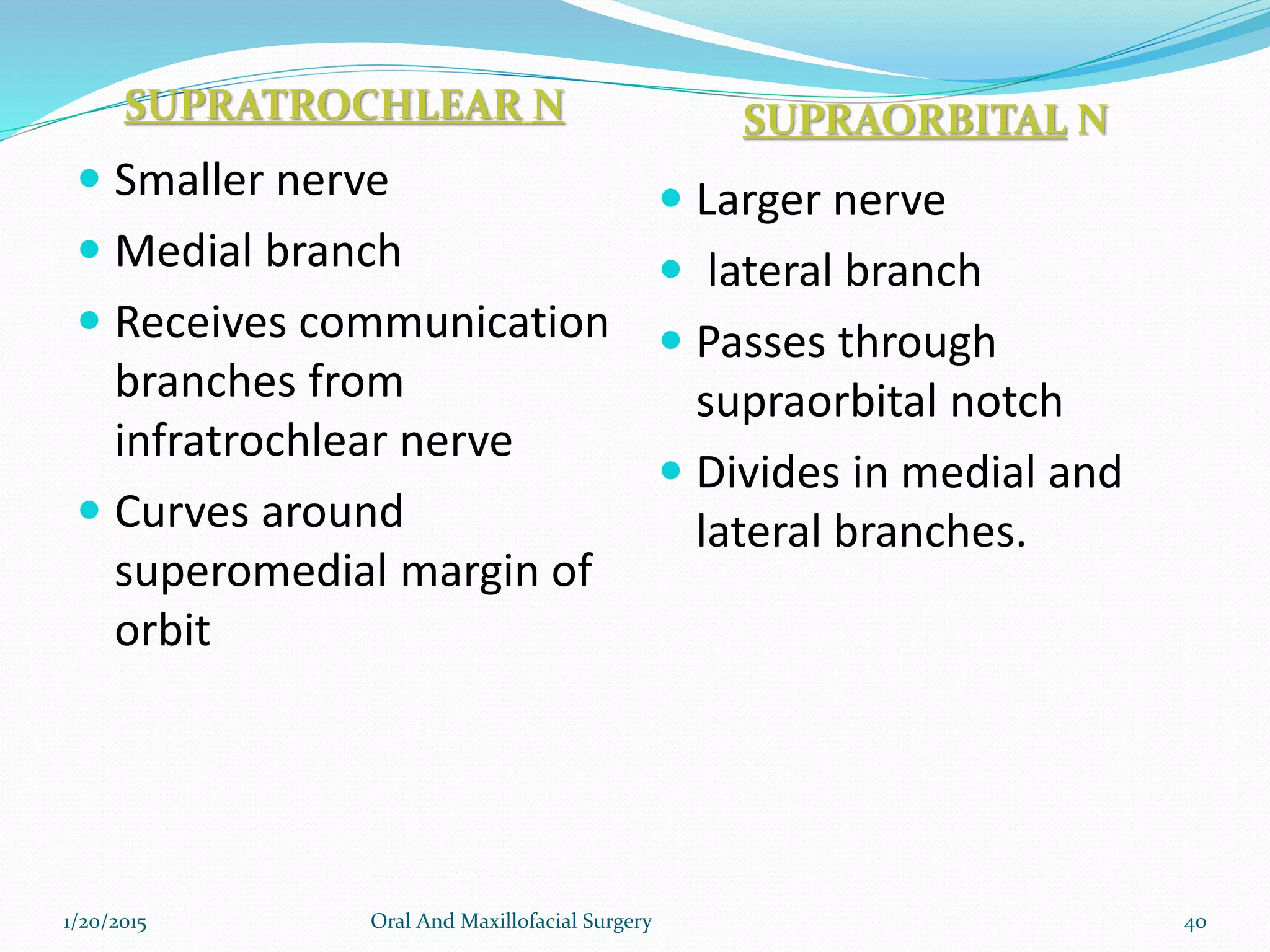 Trigeminal Nerve Anatomy | PPTX