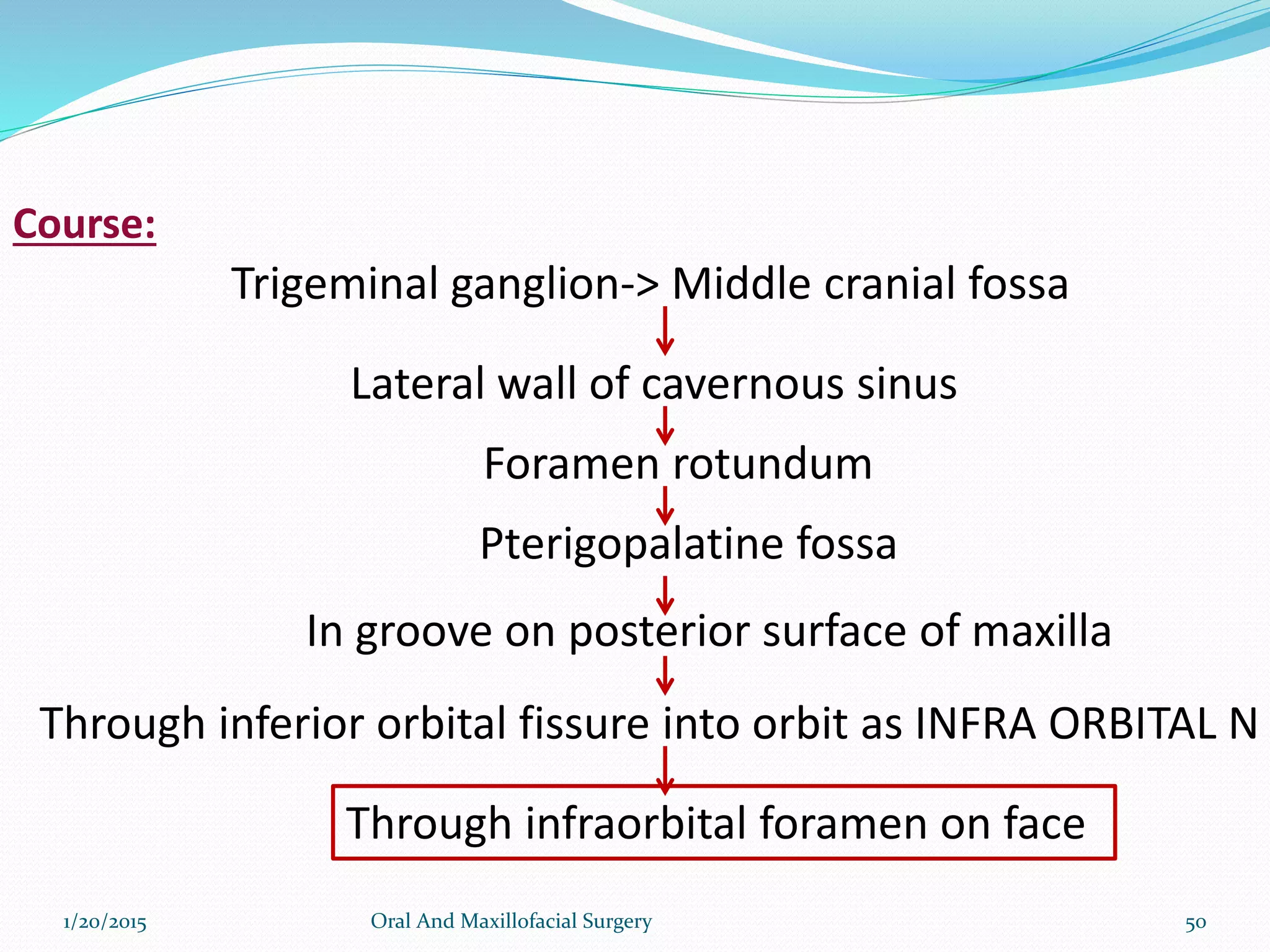Trigeminal Nerve Anatomy | PPTX
