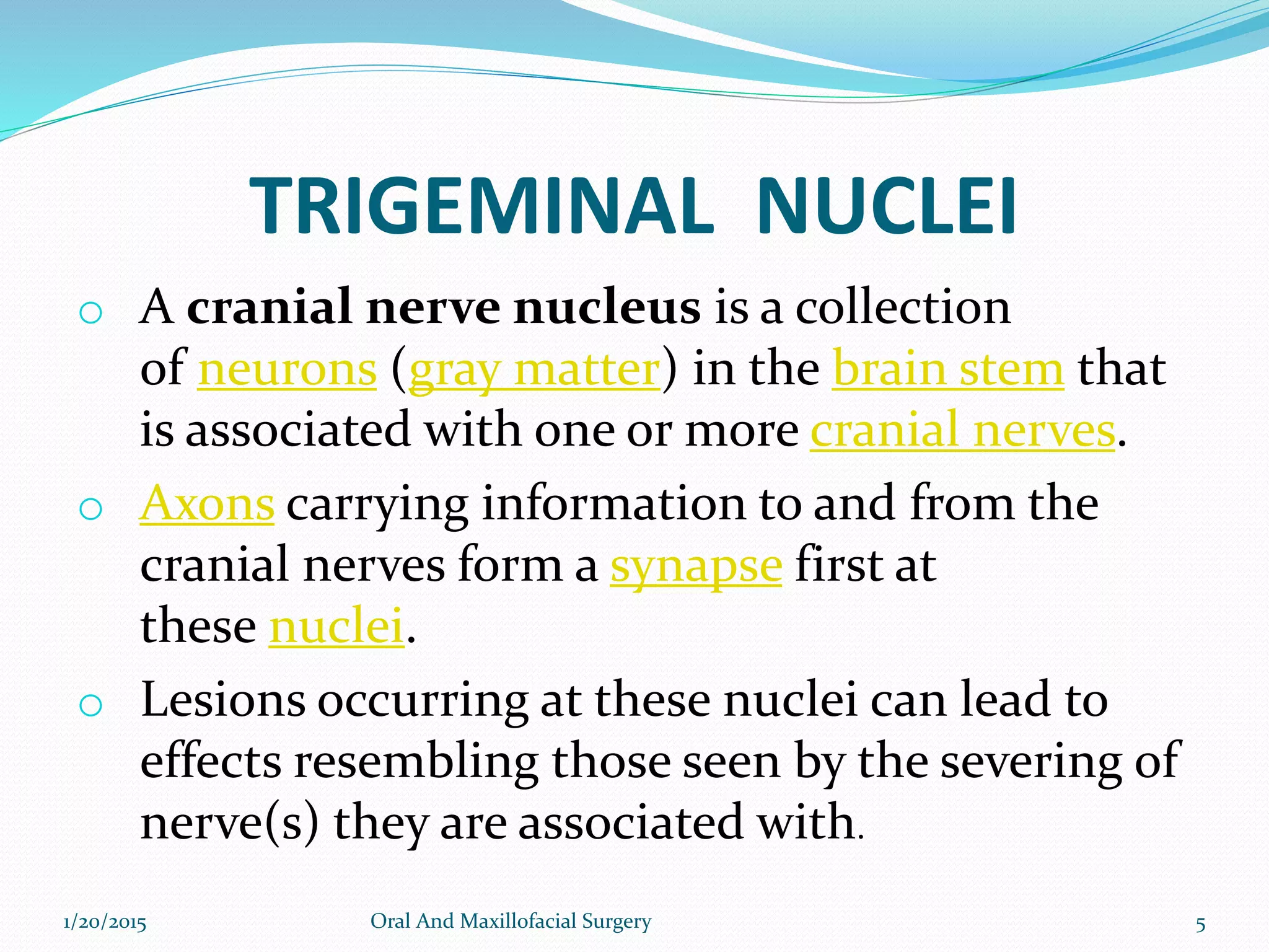 Trigeminal Nerve Anatomy | PPTX