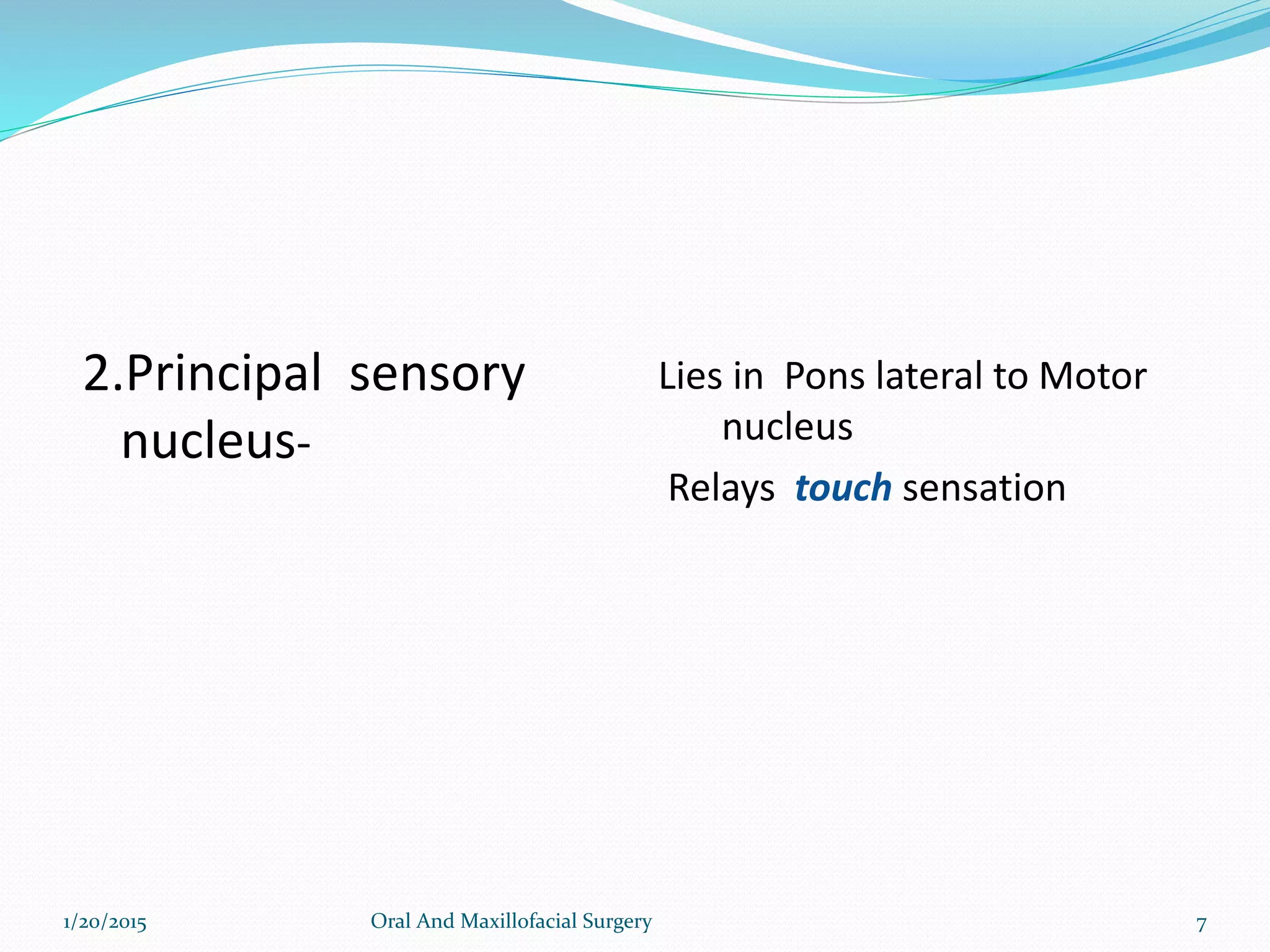 Trigeminal Nerve Anatomy | PPTX