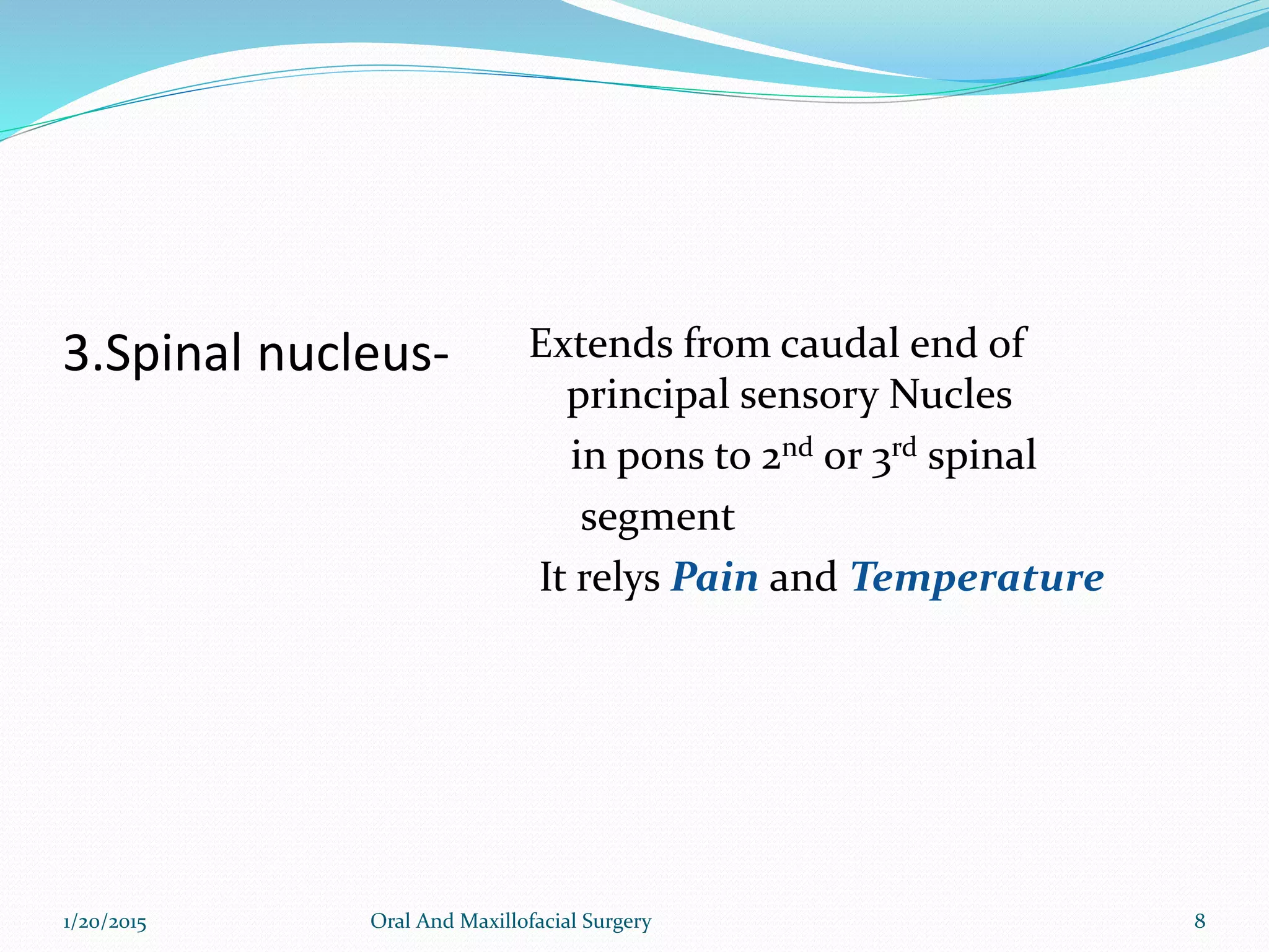Trigeminal Nerve Anatomy | PPTX