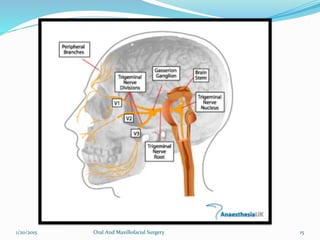 Trigeminal Nerve Anatomy | PPTX