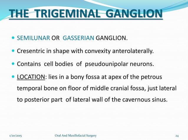Trigeminal Nerve Anatomy | PPTX