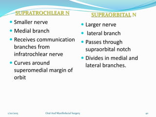 Trigeminal Nerve Anatomy | PPTX