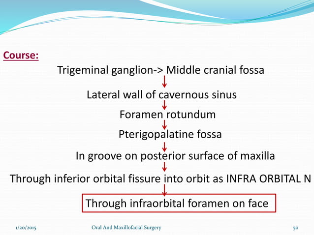 Trigeminal Nerve Anatomy | PPTX