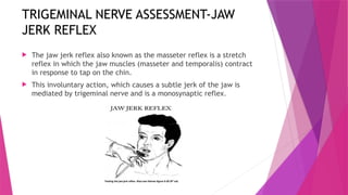 TRIGEMINAL NERVE AND ITS COURSE OF PATH IN SKULL | PPTX