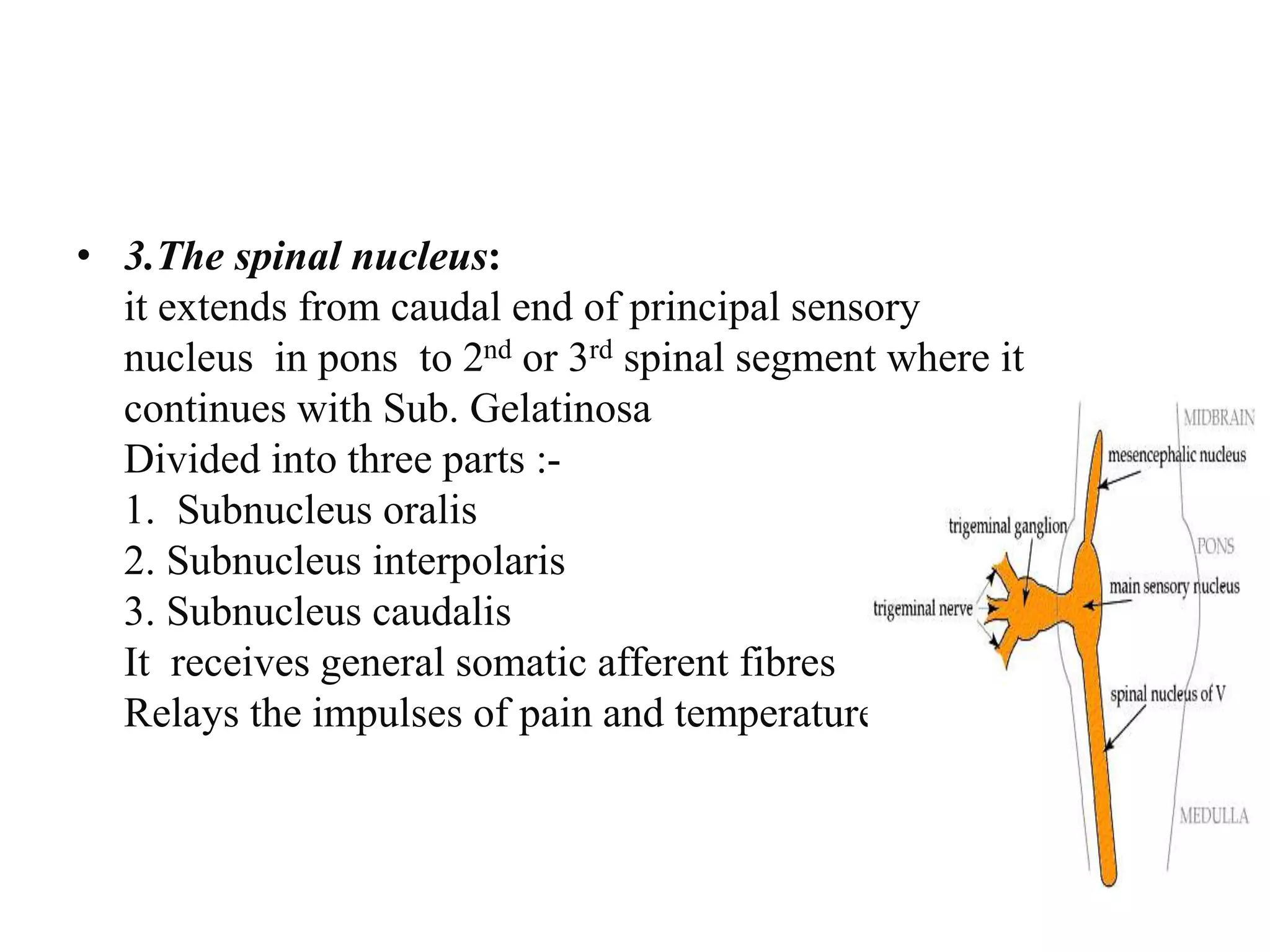 trigeminal-neuralgia.pptx