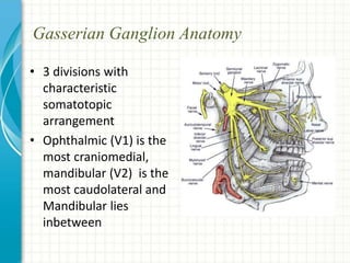 trigeminal-neuralgia-AIHS.ppsx