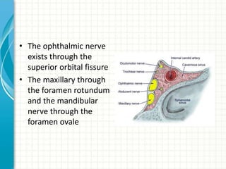 trigeminal-neuralgia-AIHS.ppsx
