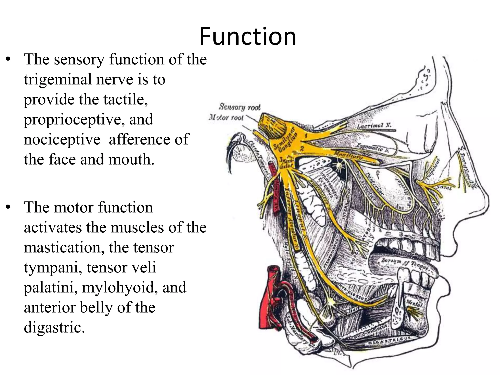 trigeminal-neuralgia (1).pptx