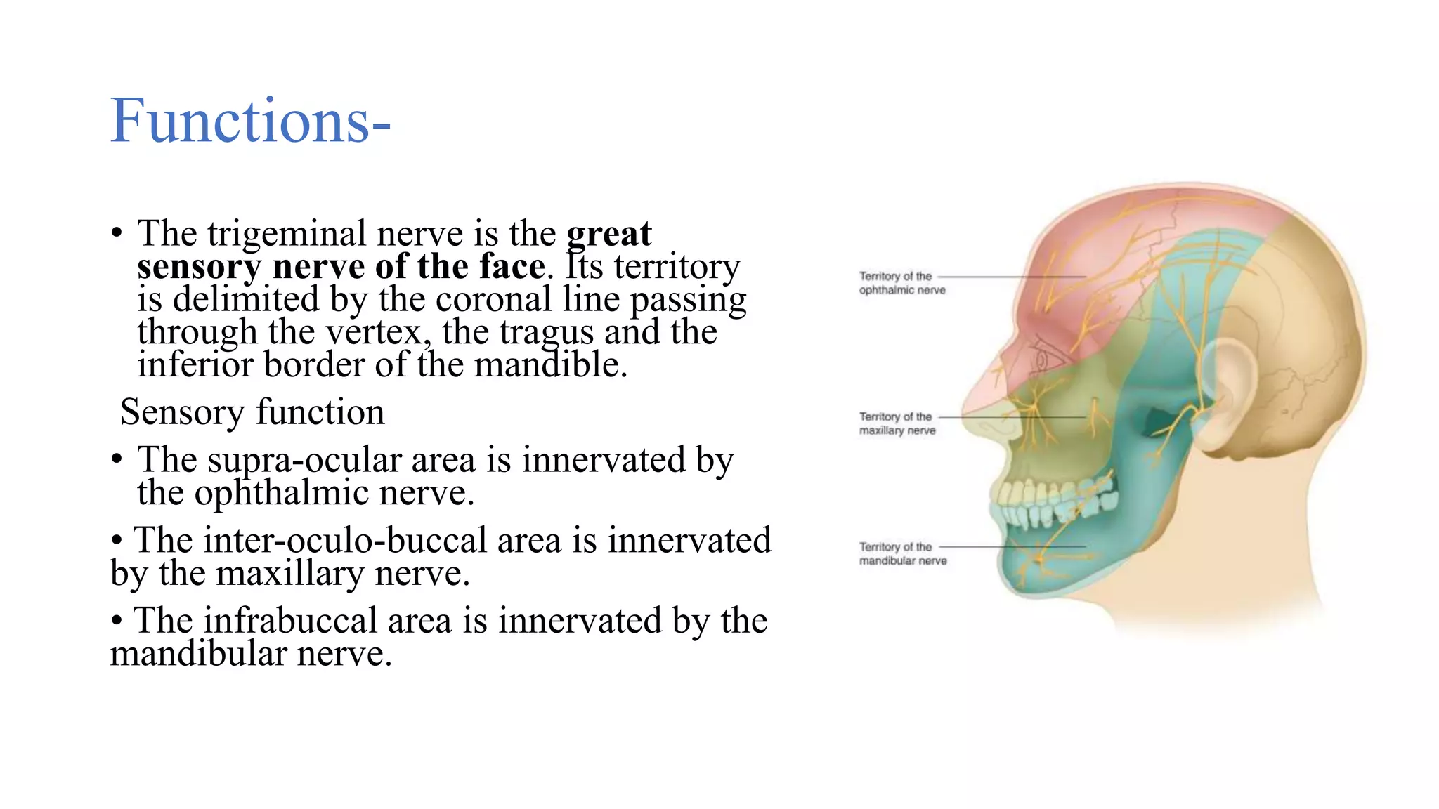 Trigeminal and facial nerve.pptx