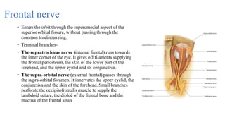 Trigeminal and facial nerve.pptx