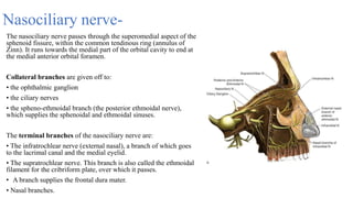 Trigeminal and facial nerve.pptx