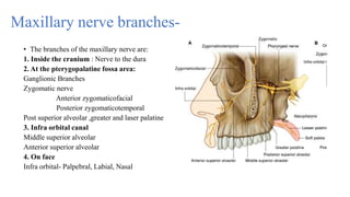Trigeminal and facial nerve.pptx