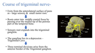 Trigeminal and facial nerve.pptx