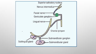 Cranial nerves - TRIGEMINAL nerve FINALpptx | PPTX