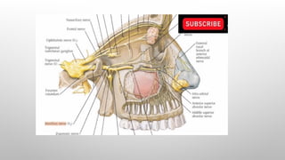 Cranial nerves - TRIGEMINAL nerve FINALpptx | PPTX
