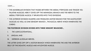 Cranial nerves - TRIGEMINAL nerve FINALpptx | PPTX