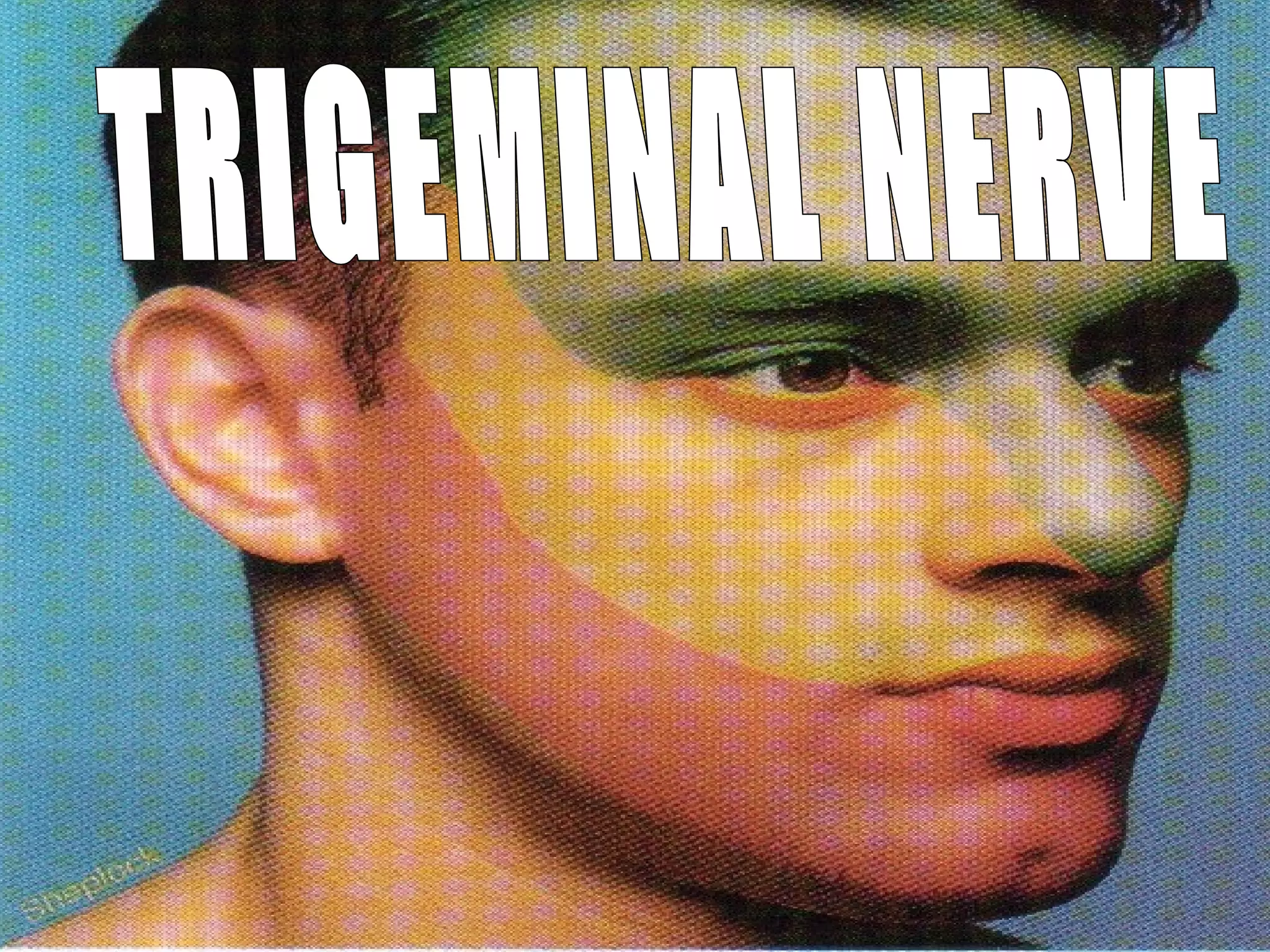 Trigeminal nerve | PPT