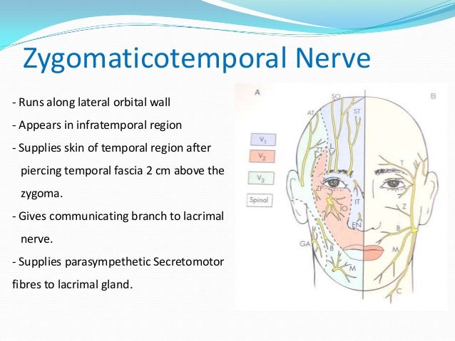Zygomaticotemporal Nerve Block Trigger Point Release And Nerve