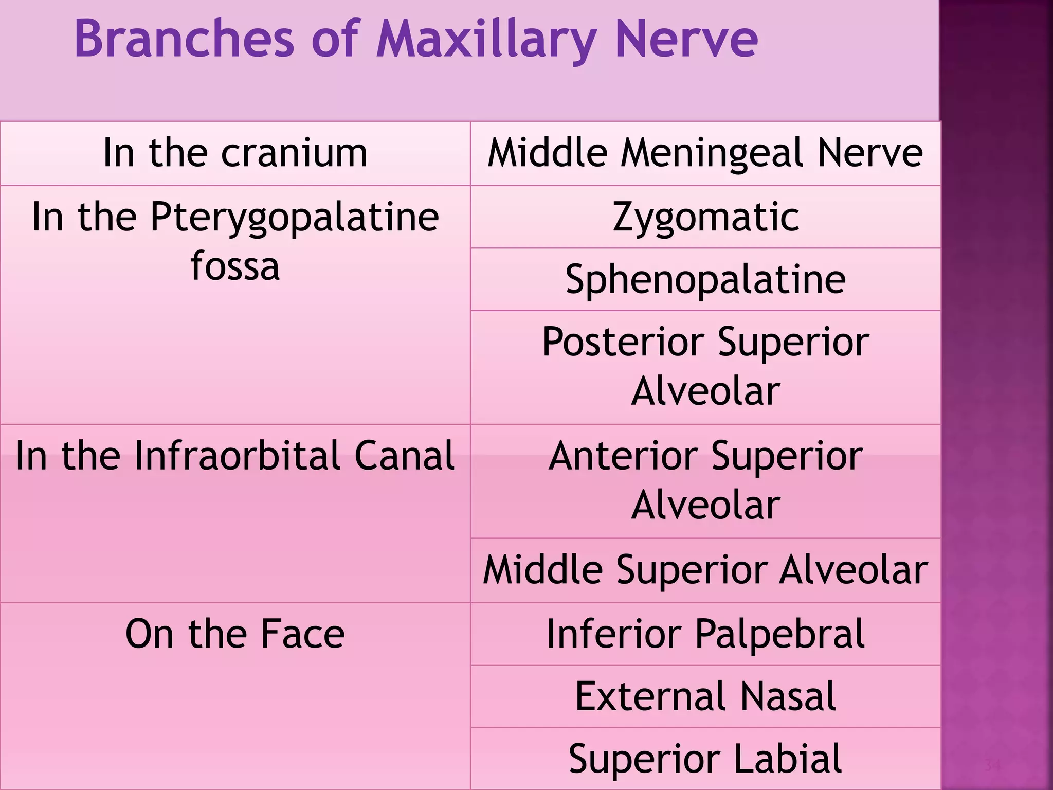 Trigeminal nerve and its importance in max-fac surgery | PPTX