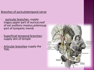 Trigeminal nerve and its importance in max-fac surgery | PPTX