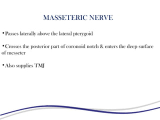 Trigeminal nerve | PPT