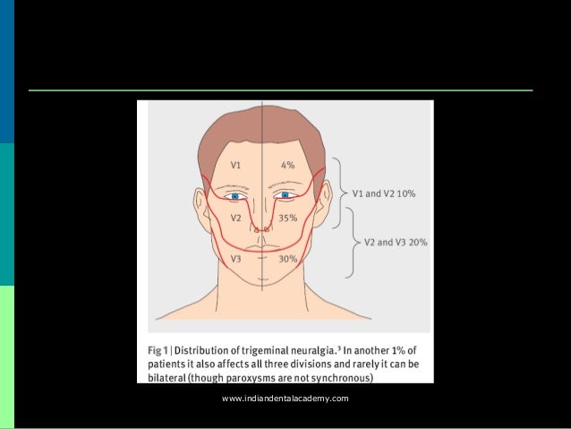 Trigeminal nerve/prosthodontic courses